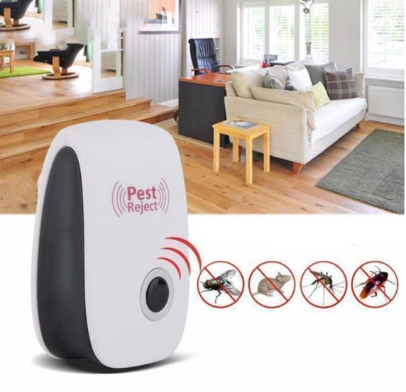 Pestt Reject – RebainShop